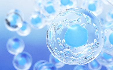 Cell and Gene Supply Chain - Cargo Pharma